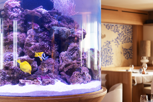 Le Boccaccio I Fish restaurant Nice & Seafood